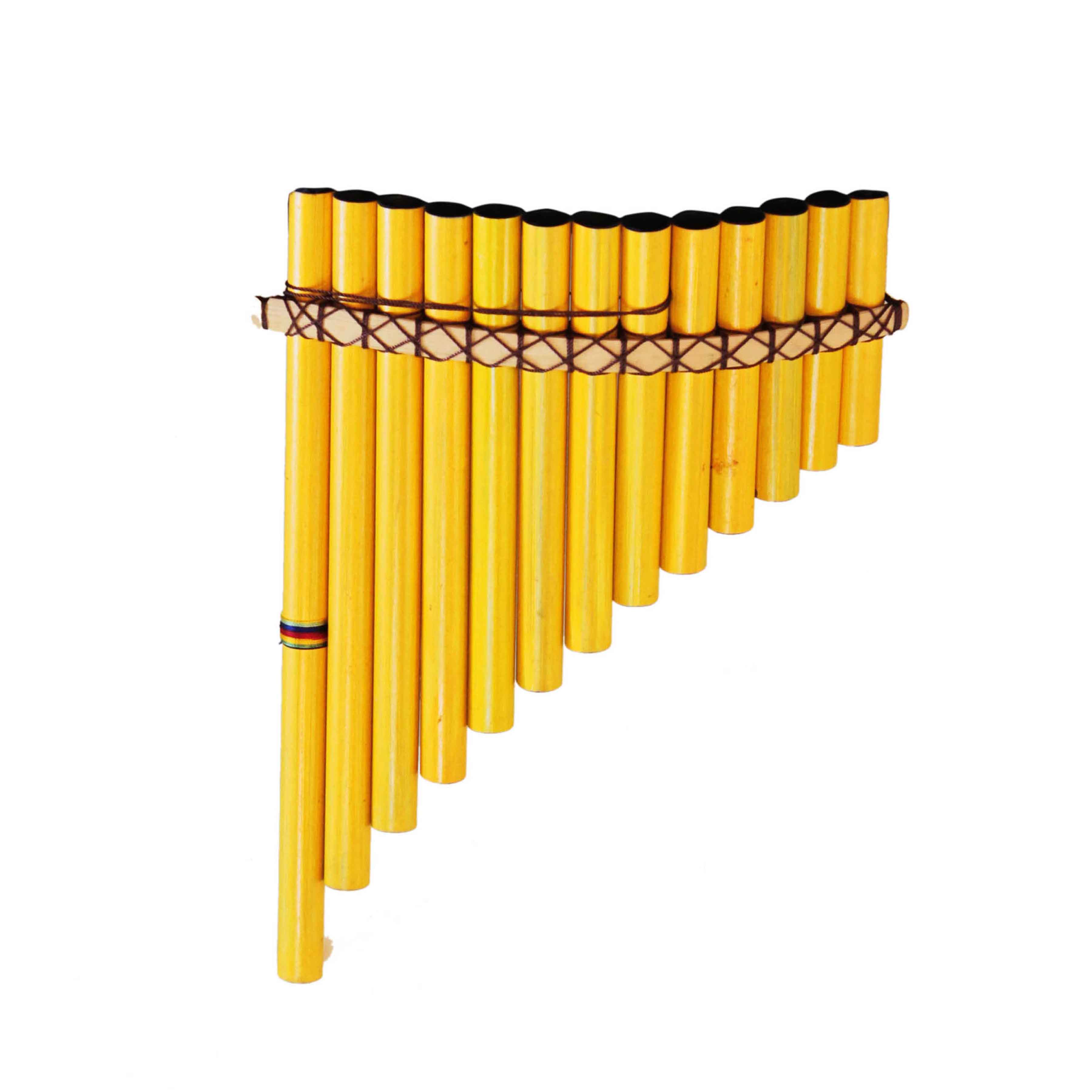 Electrónica 2001 / Zampoña